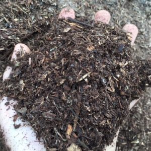 Standard Forest Mulch | Oz Landscape Supplies