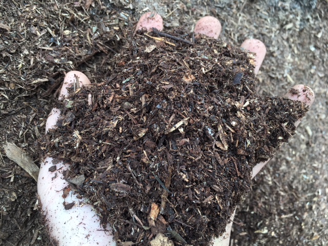 Premium Forest Fines | Oz Landscape Supplies