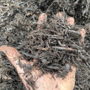 Premium Forest Fines | Oz Landscape Supplies