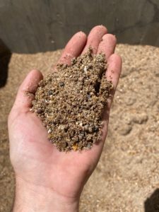 Coarse Washed Sand - Currently Unavailable | Oz Landscape Supplies