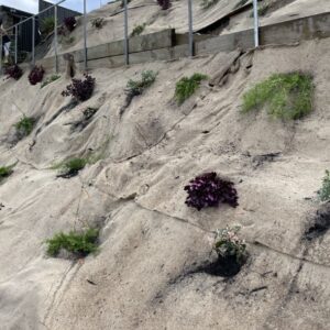 Jute Matting | Oz Landscape Supplies