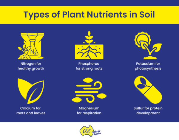 5 Easy Ways to Add Plant Nutrients to Your Garden | Oz Landscape Supplies