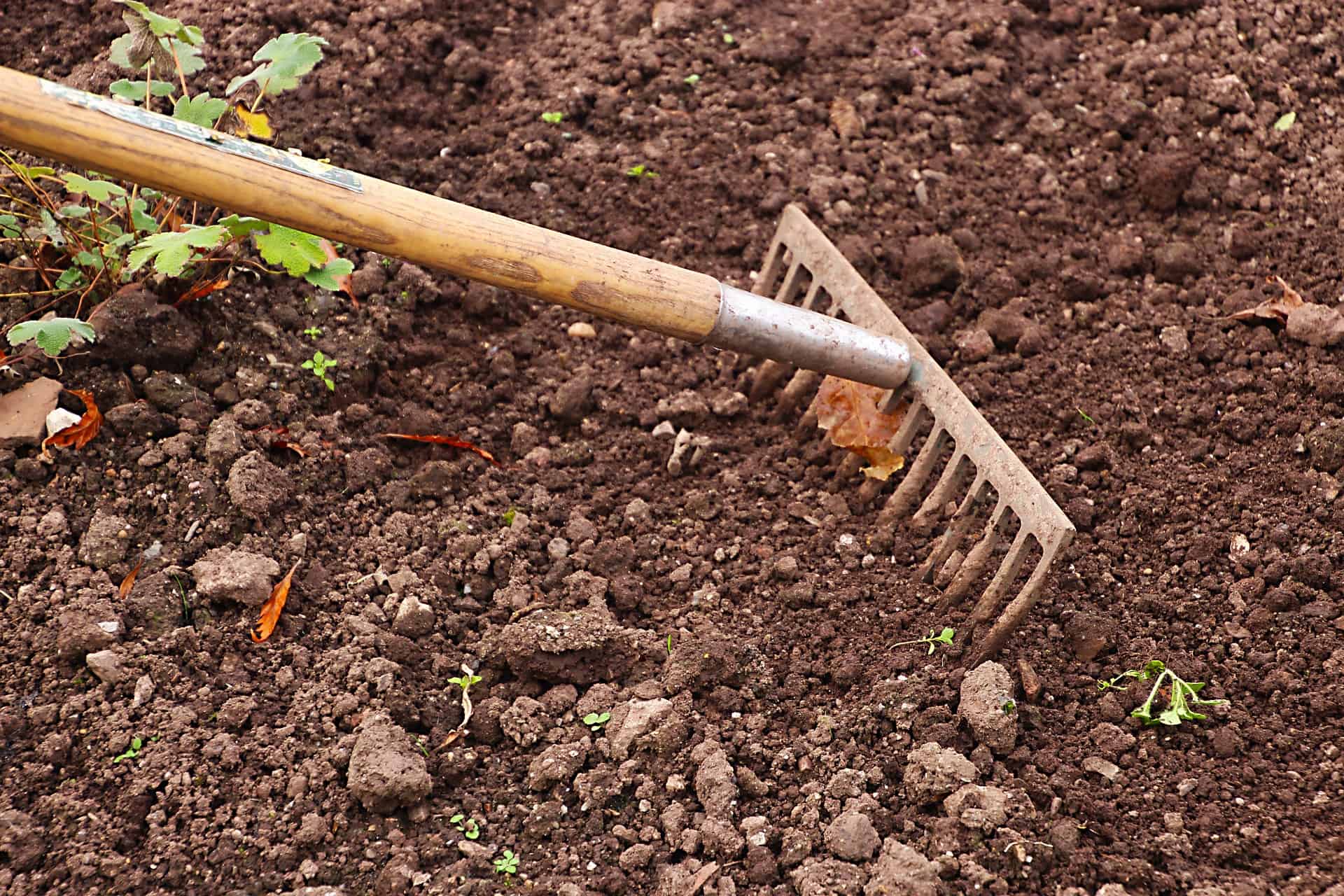 4 Tips for Using Topsoil for Grass in Aussie Gardens Oz Landscape Supplies